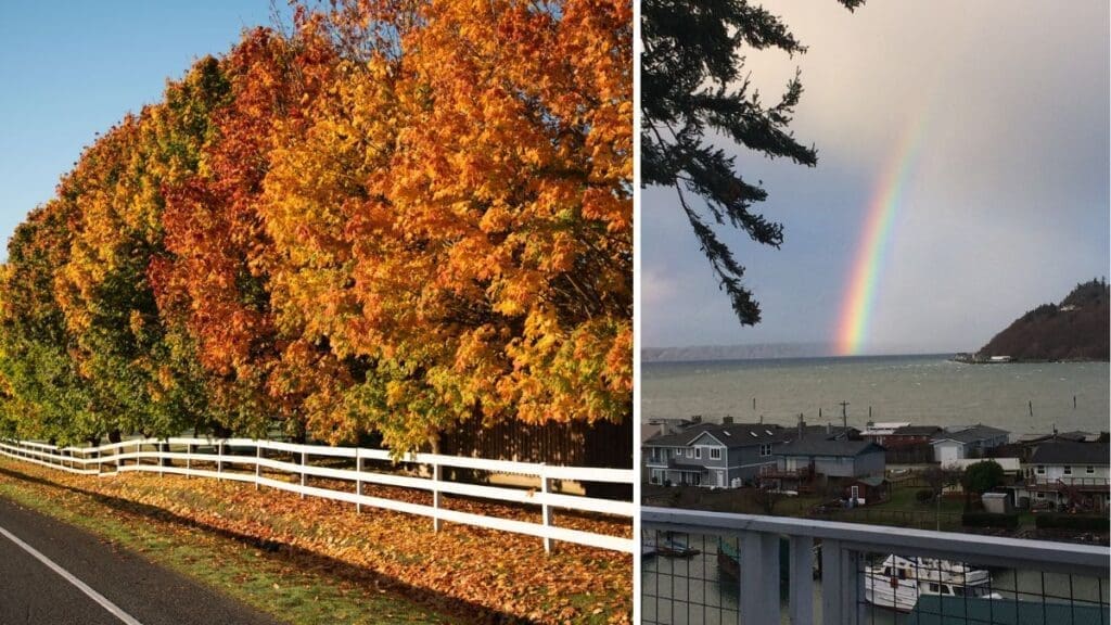 Fall Wanderlust: A True Taste of Whidbey Island | Sip Magazine